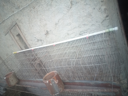 Tovuq katak setka rasiski