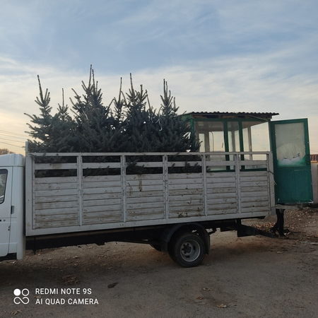 Gazel yuk tashish 5 mert bartavoy usti ochu