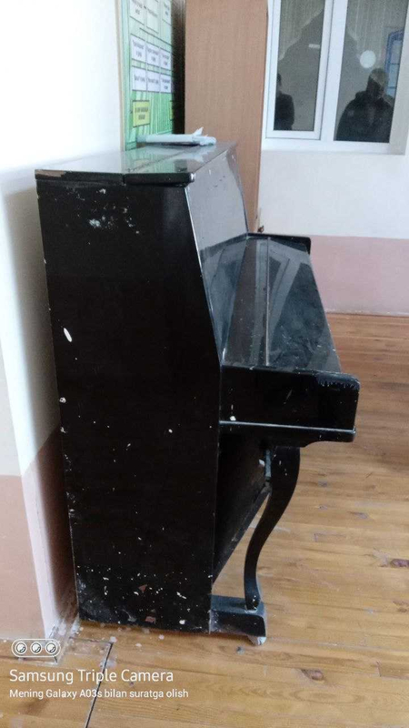 Pioneni sotiladi