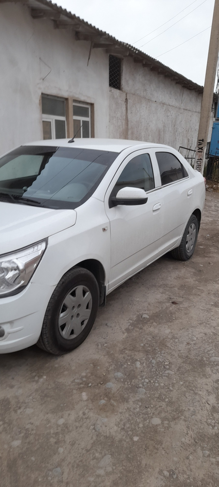 Cobalt sotilati yurgani391000
