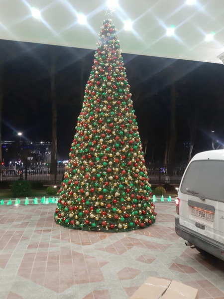 Archa 5-metr yangi