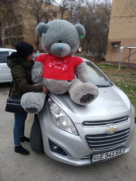 Teddi, Teddy, Teddiy yumshoq o'yinchoqlari sifatli va xamyonbop narxla