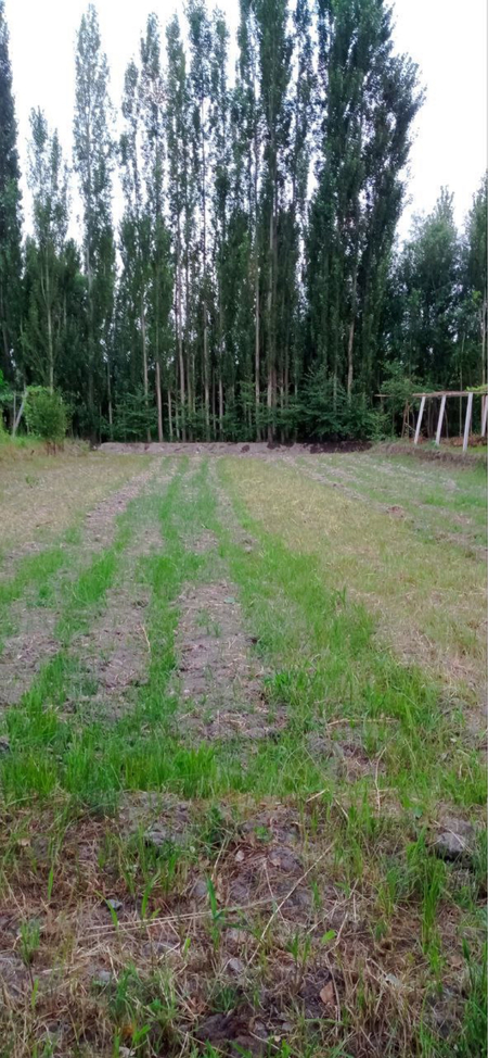 4 sotix yer sotiladi