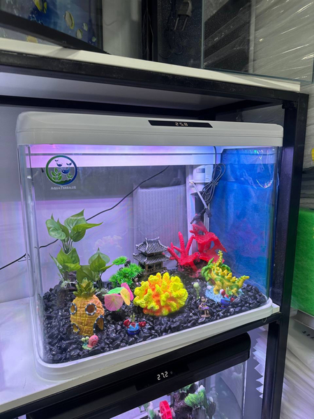 Akvarium Xitoy 3 xil razmerda