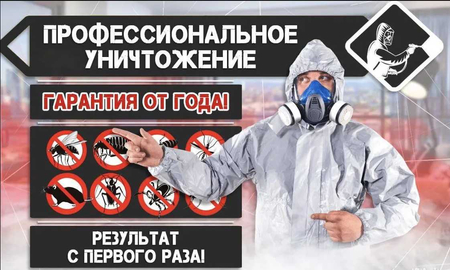 Dezinfeksiya xizmati Дезинфекция Уничтожение тараканов клоп крыс мышей