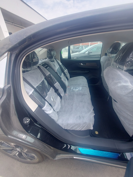 Hongqi EQM-5 2024