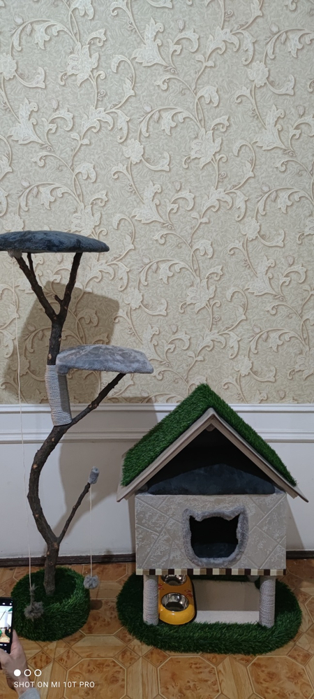 Домик для котов и кошки. Когтеточка. Дом для кошек Эксклюзив