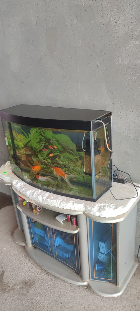 Akvarium 100l va 80l ichidagi baliqlari tagidagi pastavkalari