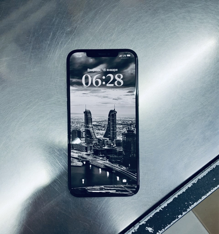 Iphone 12 pro max