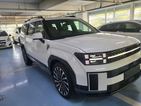 Orient Autodan Hyundai Santa Fe avtomobili sohibiga aylaning