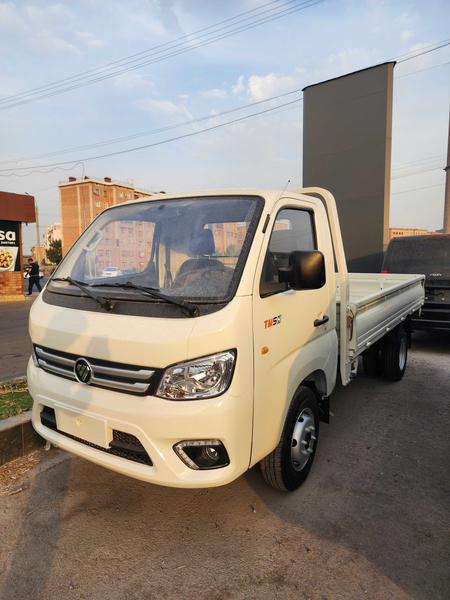 FOTON Truck Mate