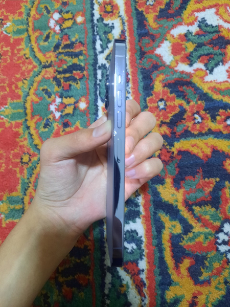 iPhone 13 pro max