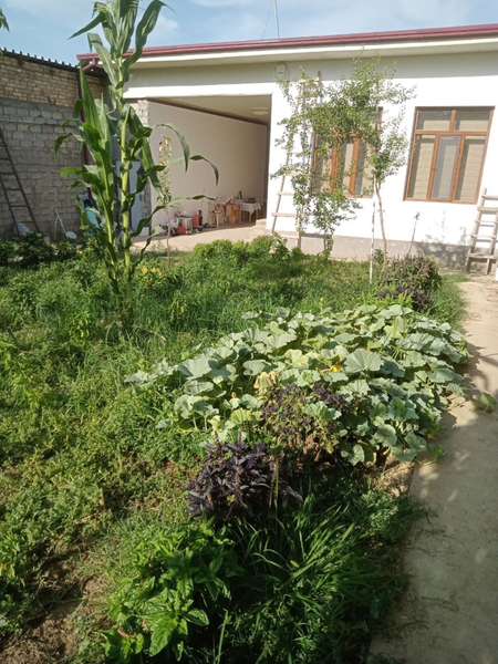 Продается дом 4 соток