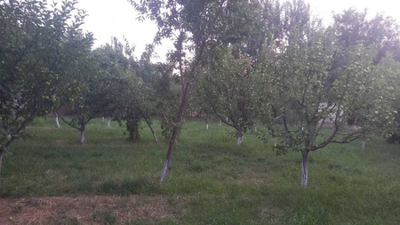 Tovoqsoy sanatoriyga yaqn joydan 8 sotix yer sotiladi