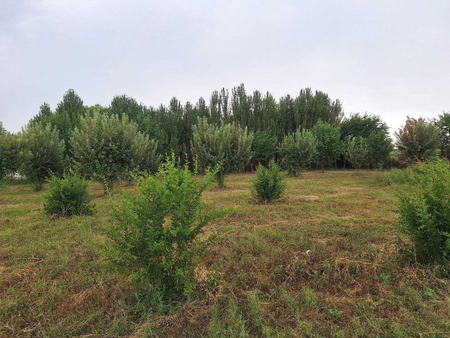 Чорва ва  парранда ферма бино-иншоати