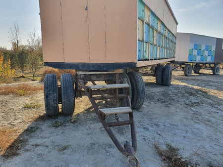 Асалари павилон 90 талик