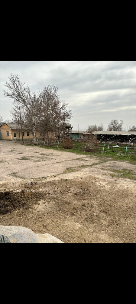 Срочно продаются Ферма