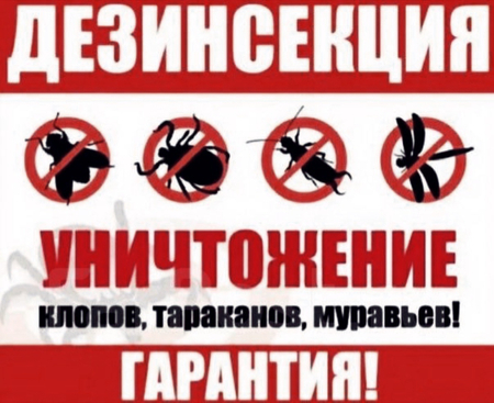 Дезинфекция от клопов и тараканов