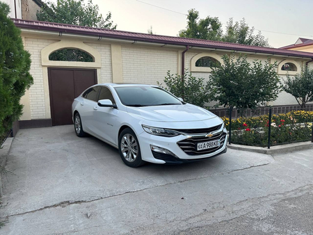 Malibu 2 primer 2022