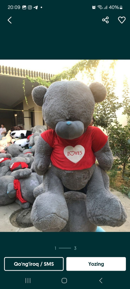 Tedi Teddy Mishka ayiq (optim)