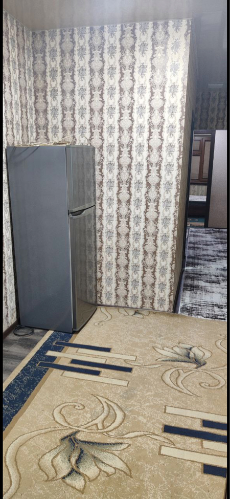 Ijaraga 2 honalik ibn sino 2 mavze