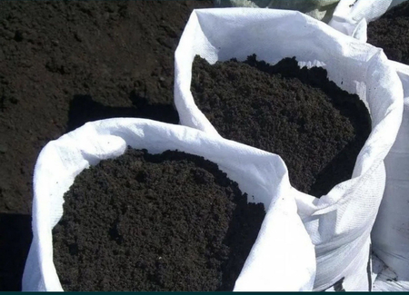 Биогомус Ташкент.