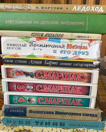 Книги из дома: художественная, детская, учебная литература