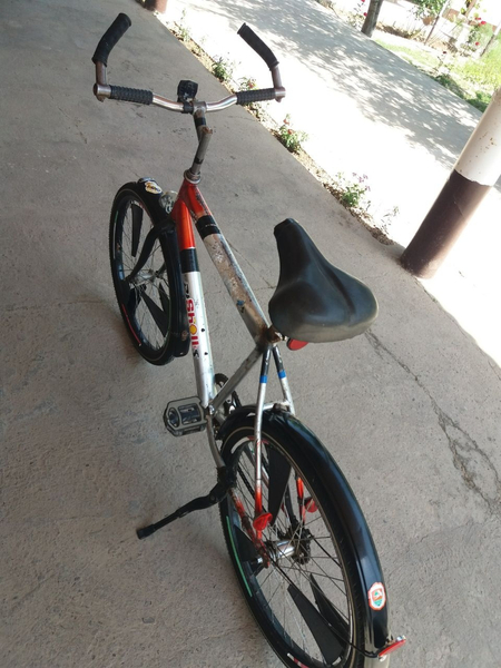 Velosiped toshkent