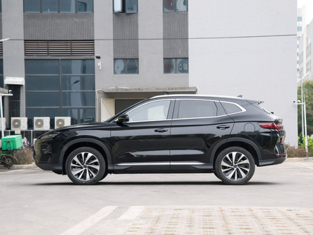 Byd champion 605 km