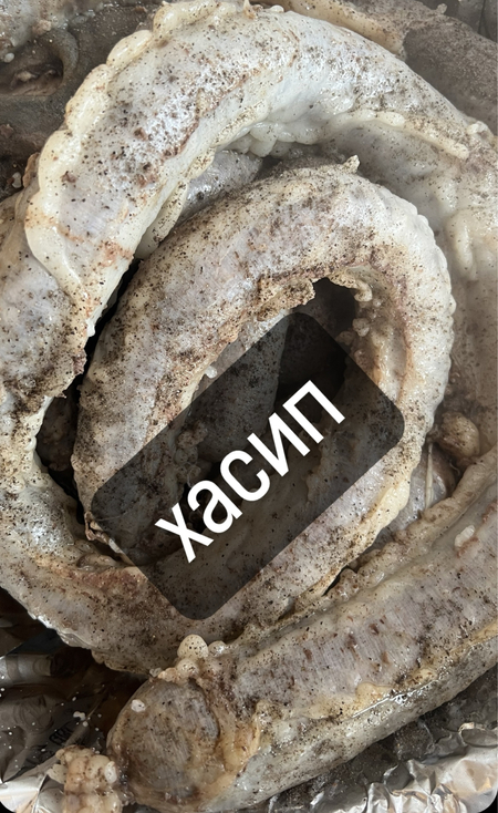 Қўй, қўчқор, калла поча, хасип