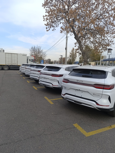 Byd chempion super narxda