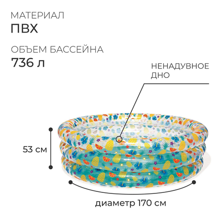 Бассейн надувной , 170 х 53 см, от 6 лет, 51048 Bestway