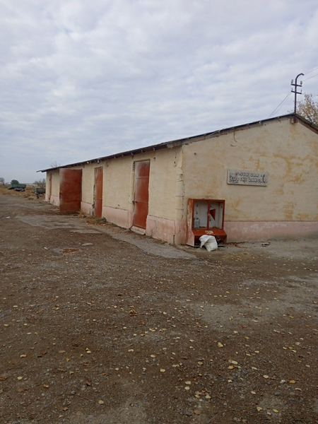Tayyor dala hovli