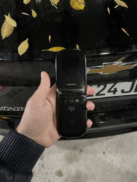 blackberry perfectum
