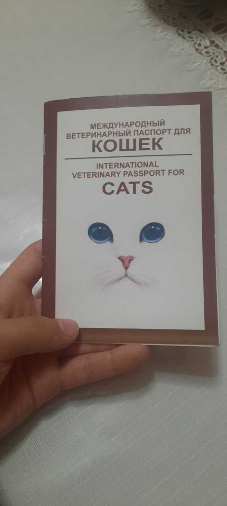 НА Вязку
Нужна КОШКА!!!