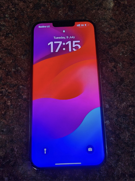 iPhone 13 Pro Max 256 GB