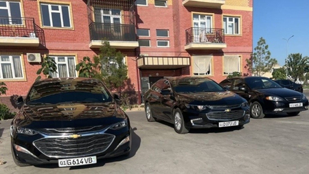 Prokat avto/rent kar