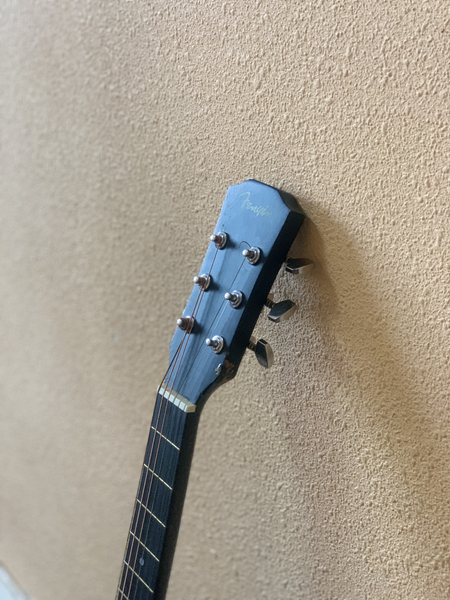Acoustic Gitara Toza