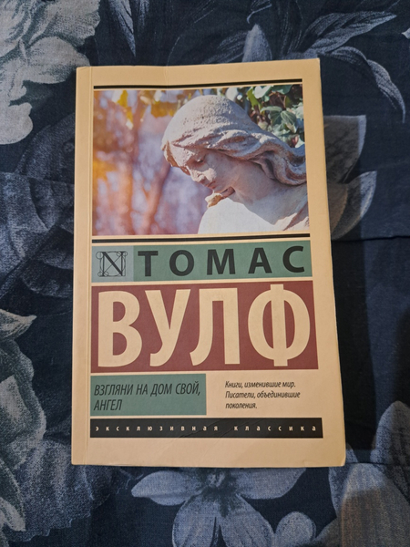Книга Томаса Вулфа 