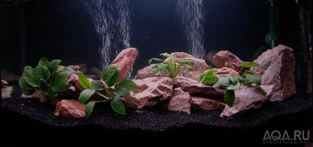 Akvarium uchun dekorativ toshlar. Peschanik va bud kamen