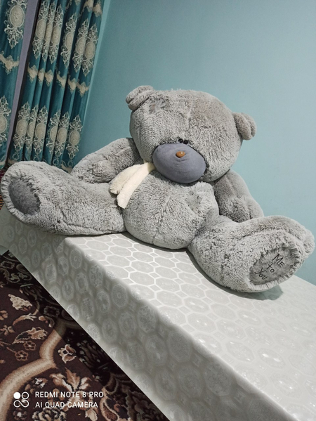 Teddiy ayiq yengii