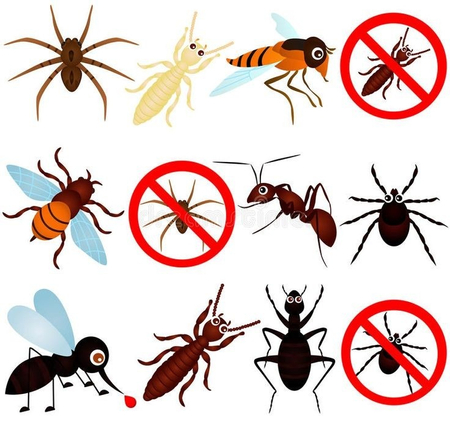 PEST KILLER электронная лампа от комаров от мухи от летающих насекомых