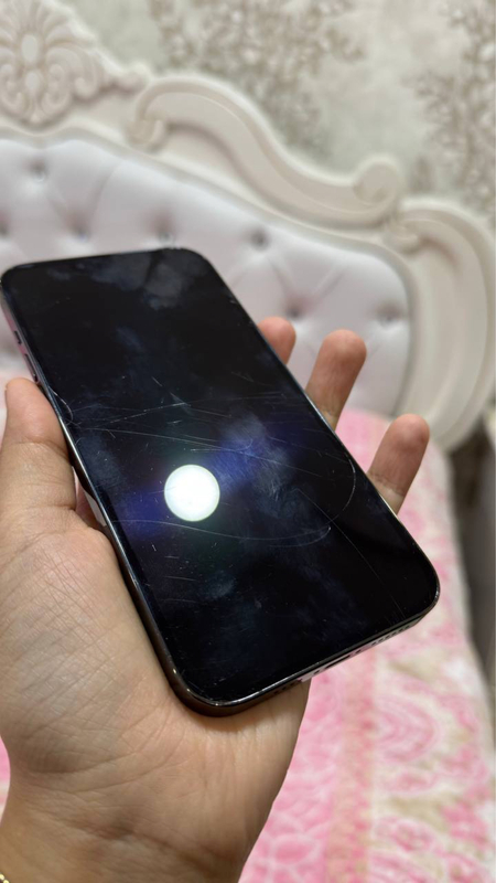 Iphone 13 pro max green
