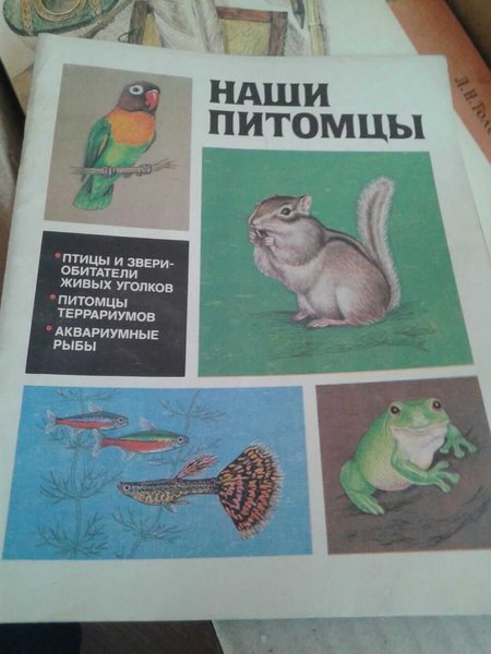 Книга 