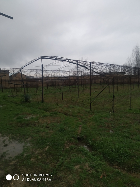 Парник сотилади. 30 х11 метрлик