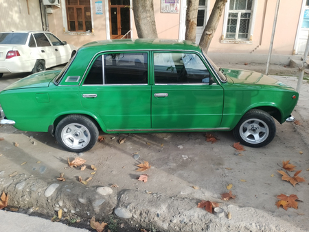 Жугули идеальный