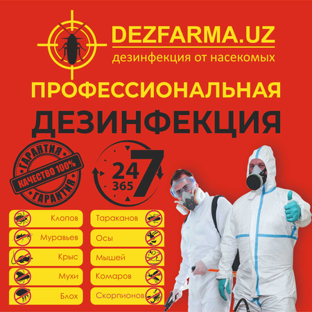 Дезинфекция клопов дезинфекция таракан  dezinfeksiya dizinfeksiya