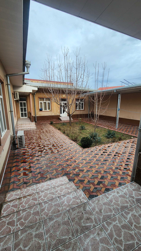 Archa kochada 4 sotix uchaska sotiladi
