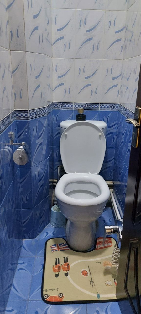 Qora qamich 2/4 srochna sotiladi