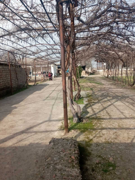 Продается дача, земельный участок или сдается в аренду.